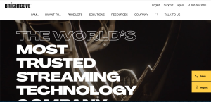 10 Best Video Streaming Platforms in 2023